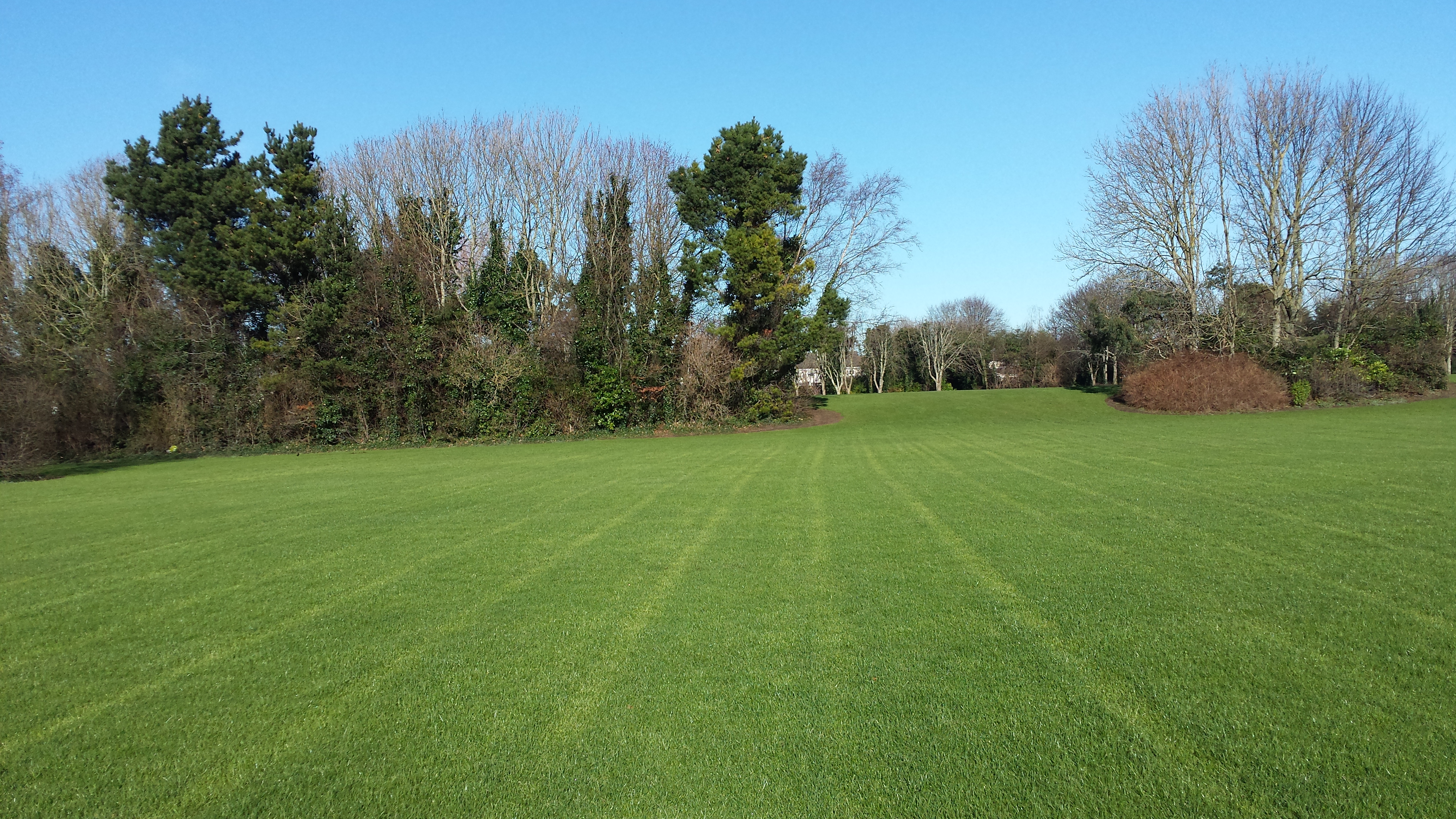 Grass Cutting And Lawn Care In Dublin Professional Lawn Mowing